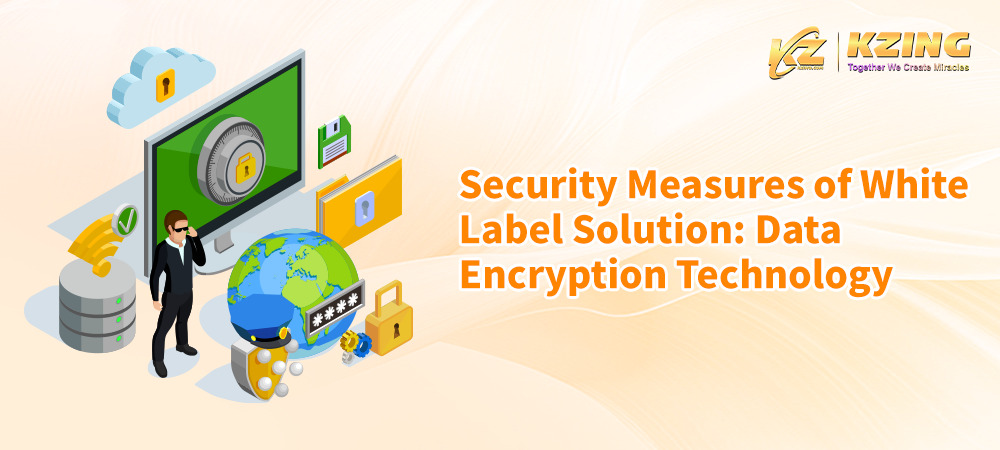 Security Measures of White Label Solution: Data Encryption Technology ...