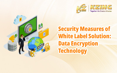 Security Measures of White Label Solution: Data Encryption Technology ...
