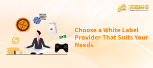 Choose a White Label Provider That Suits Your Needs - Kzing